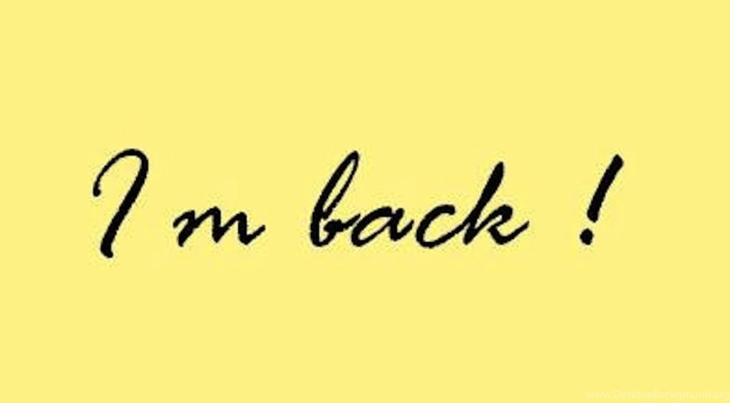 I am back! – Kater's Blog!