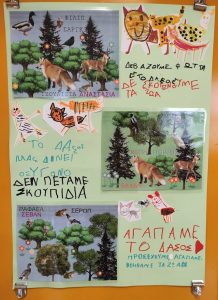 Για το δάσος μαθαίνω, δρω και δημιουργώ – efkyriaki