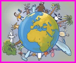 1ο Δημοτικό Σχολείο Γιαννιτσών-Τάξη ΣΤ2 – Το ιστολόγιο της τάξης μας ...