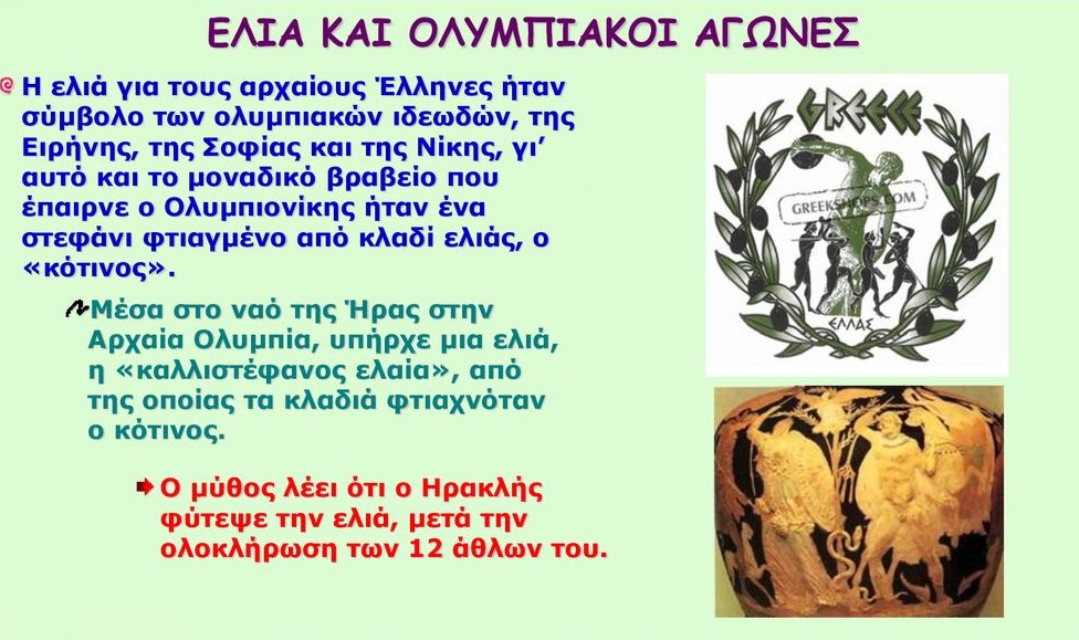 Η ελιά και το λάδι – Η τάξη της Κυρίας Νίκης