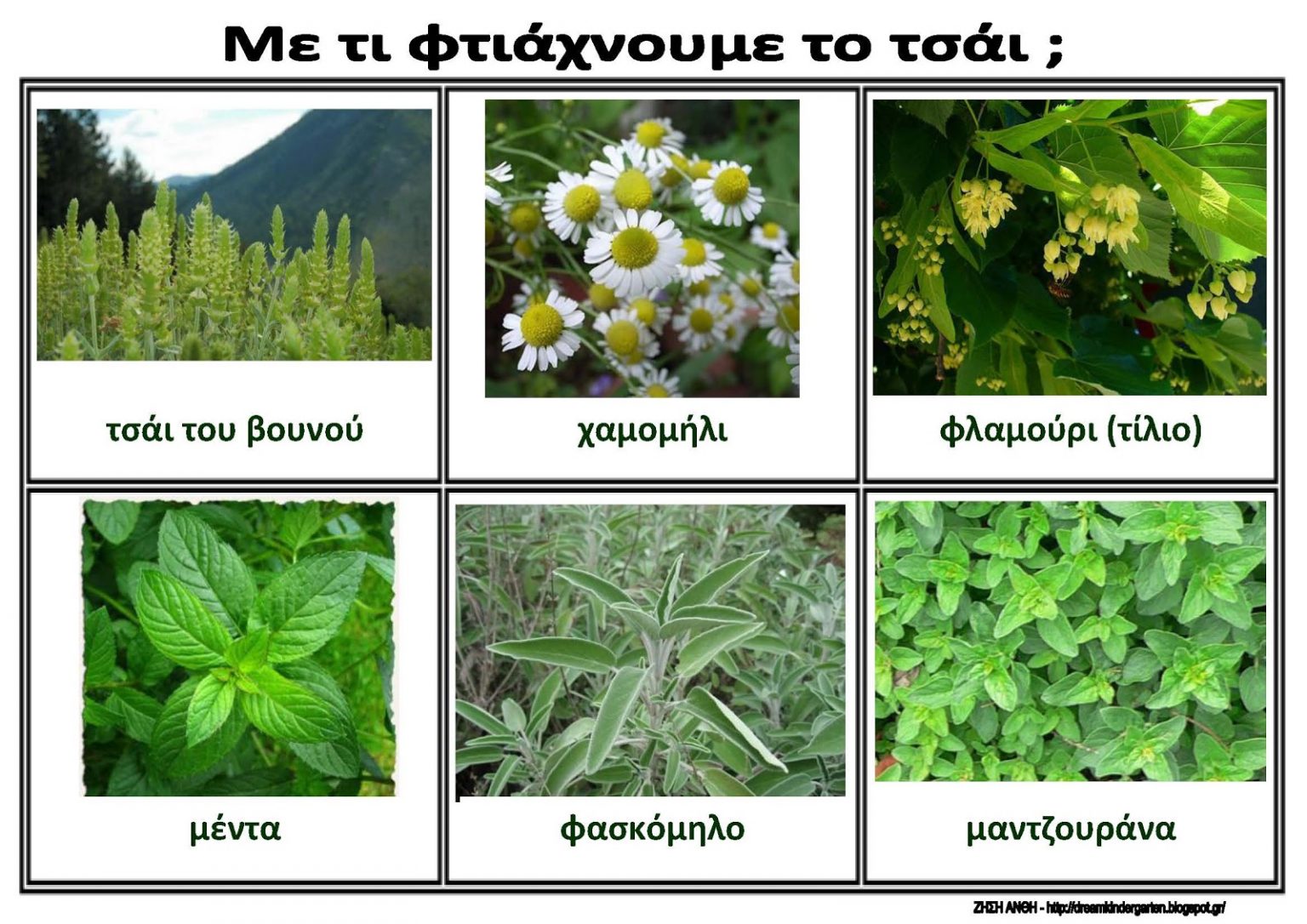 Χειμερία Νάρκη – Η τάξη της Κυρίας Νίκης