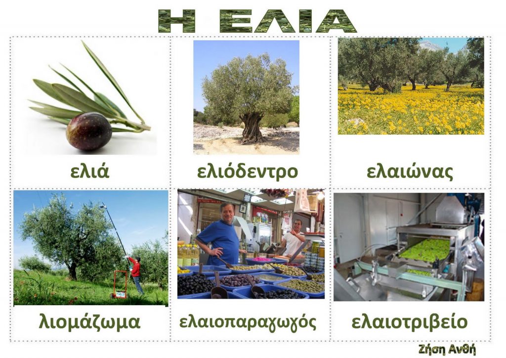 Η ελιά και το λάδι – Η τάξη της Κυρίας Νίκης