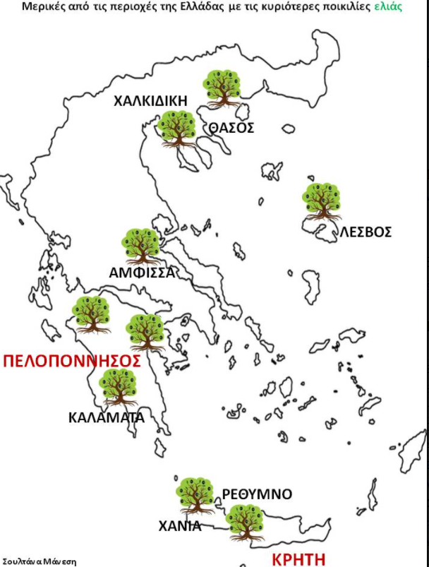 Η ελιά και το λάδι – Η τάξη της Κυρίας Νίκης