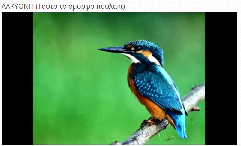 ΧΕΙΜΩΝΙΑΤΙΚΕΣ/ΧΡΙΣΤΟΥΓΕΝΝΙΑΤΙΚΕΣ ΔΡΑΣΤΗΡΙΟΤΗΤΕΣ – 2 ΝΗΠΙΑΓΩΓΕΙΟ ...
