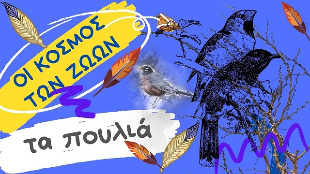 Γνωριμία με τα πουλιά – 2ο ΝΗΠΙΑΓΩΓΕΙΟ ΑΓ. ΝΙΚΟΛΑΟΥ