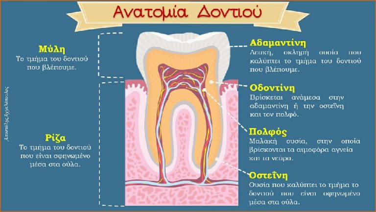 ΦΥΣΙΚΑ ΦΕ2 ΤΑ ΔΟΝΤΙΑ ΜΑΣ Μέρος 2ο – Ε1 κος Γιάννης