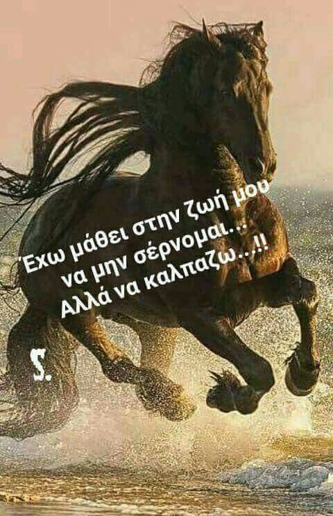 Τα άλογα!!!