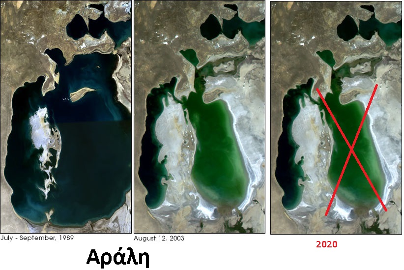 November 2020 – Η κυψέλη του Στ2 του 11oυ Δημοτικού Περιστερίου 2021