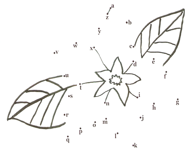 -bonus drawing- – Διαπεριφερειακό Δ.Σ. εξΑΕ- Β τάξη-Αγγλικά