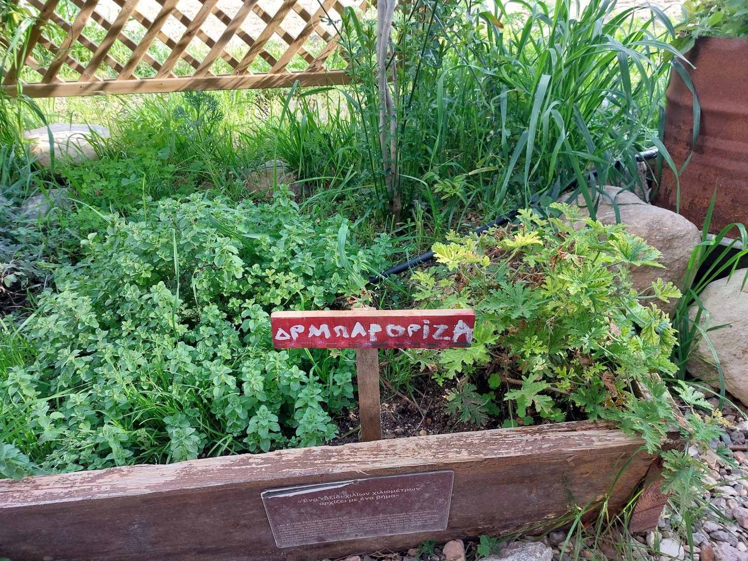 Ecology, Environmental Awareness Day – ECO- CULTURE LAB – ERASMUS ...