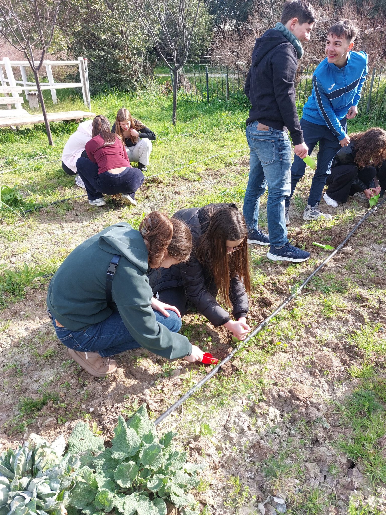 Ecology, Environmental Awareness Day – ECO- CULTURE LAB – ERASMUS ...
