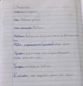 ΖΩΑ ΠΟΥ ΚΙΝΔΥΝΕΥΟΥΝ ΝΑ ΕΞΑΦΑΝΙΣΤΟΥΝ – 5ο ΔΗΜΟΤΙΚΟ ΒΡΙΛΗΣΣΙΩΝ, Β2