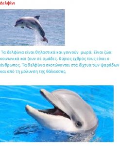 ΖΩΑ ΠΟΥ ΚΙΝΔΥΝΕΥΟΥΝ ΝΑ ΕΞΑΦΑΝΙΣΤΟΥΝ – 5ο ΔΗΜΟΤΙΚΟ ΒΡΙΛΗΣΣΙΩΝ, Β2