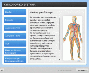 Η ΚΑΡΔΙΑ: ΜΙΚΡΗ ΚΑΙ ΜΕΓΑΛΗ ΚΥΚΛΟΦΟΡΙΑ – ΣΤ΄ ΔΗΜΟΤΙΚΟΥ “ΕΛΠΙΔΑ”