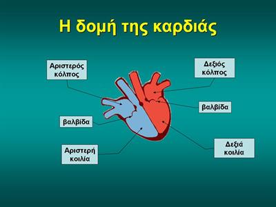 ΦΥΣΙΚΗ – ΣΤ΄ ΔΗΜΟΤΙΚΟΥ “ΕΛΠΙΔΑ”