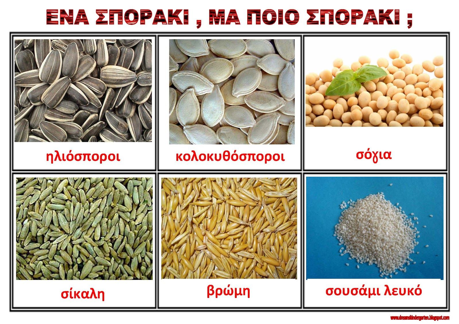 ΝΕΡΟ-ΣΠΟΡΑ – ΝΗΠΙΑΓΩΓΕΙΟ ΤΡΥΦΟΥ