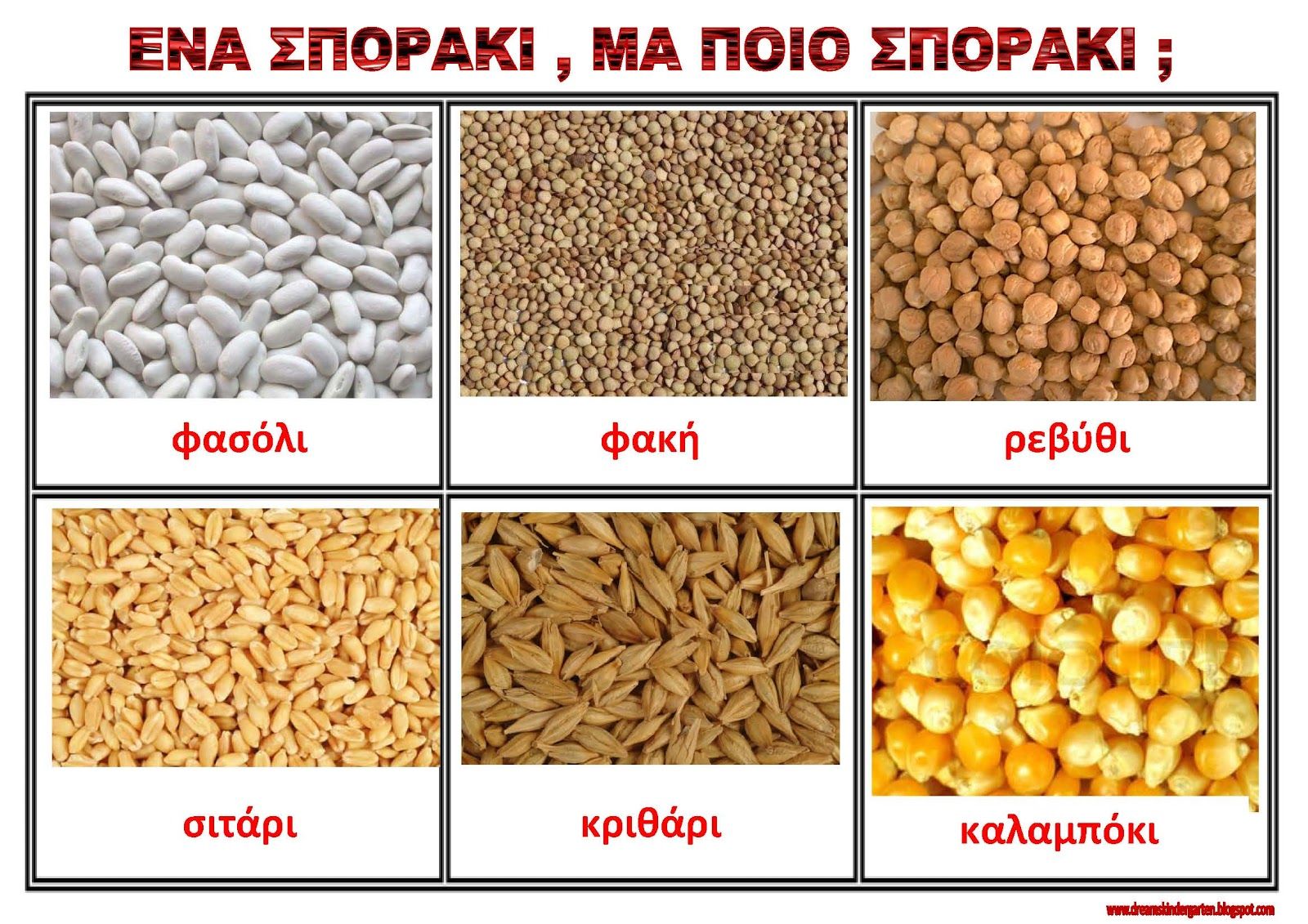 ΝΕΡΟ-ΣΠΟΡΑ – ΝΗΠΙΑΓΩΓΕΙΟ ΤΡΥΦΟΥ