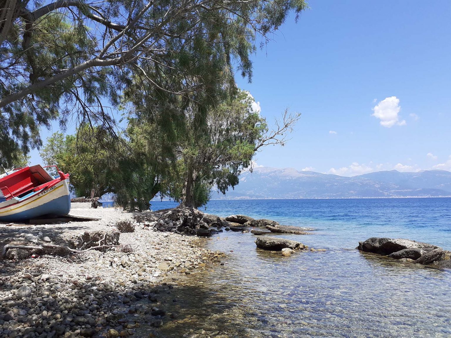 Διαγωνισμός Φωτογραφίας και Εξώφυλλο Περιοδικού – ΤΟΜΕΑΣ ΕΦΑΡΜΟΣΜΕΝΩΝ ...
