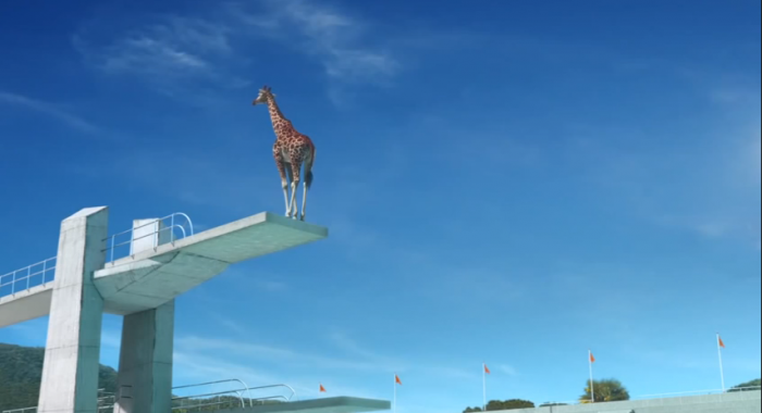 Athleticus Animals | vpapadakou